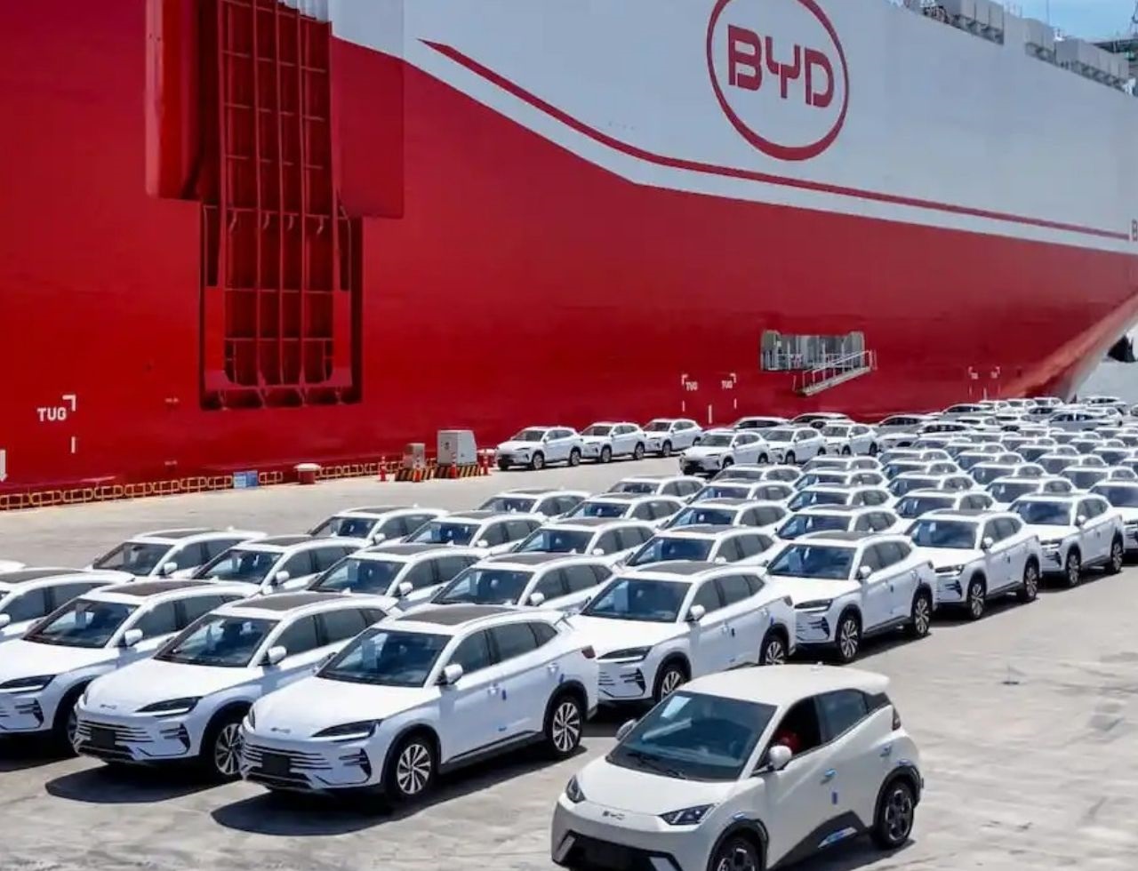 Maior navio porta-carros do mundo chega amanhã a SC - SCTODODIA